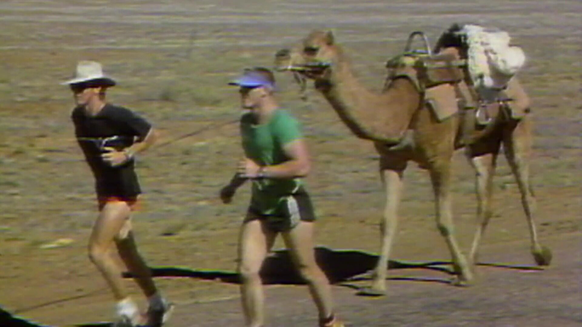 Great Australian Camel Race reunion keeps memories of gruelling outback ...