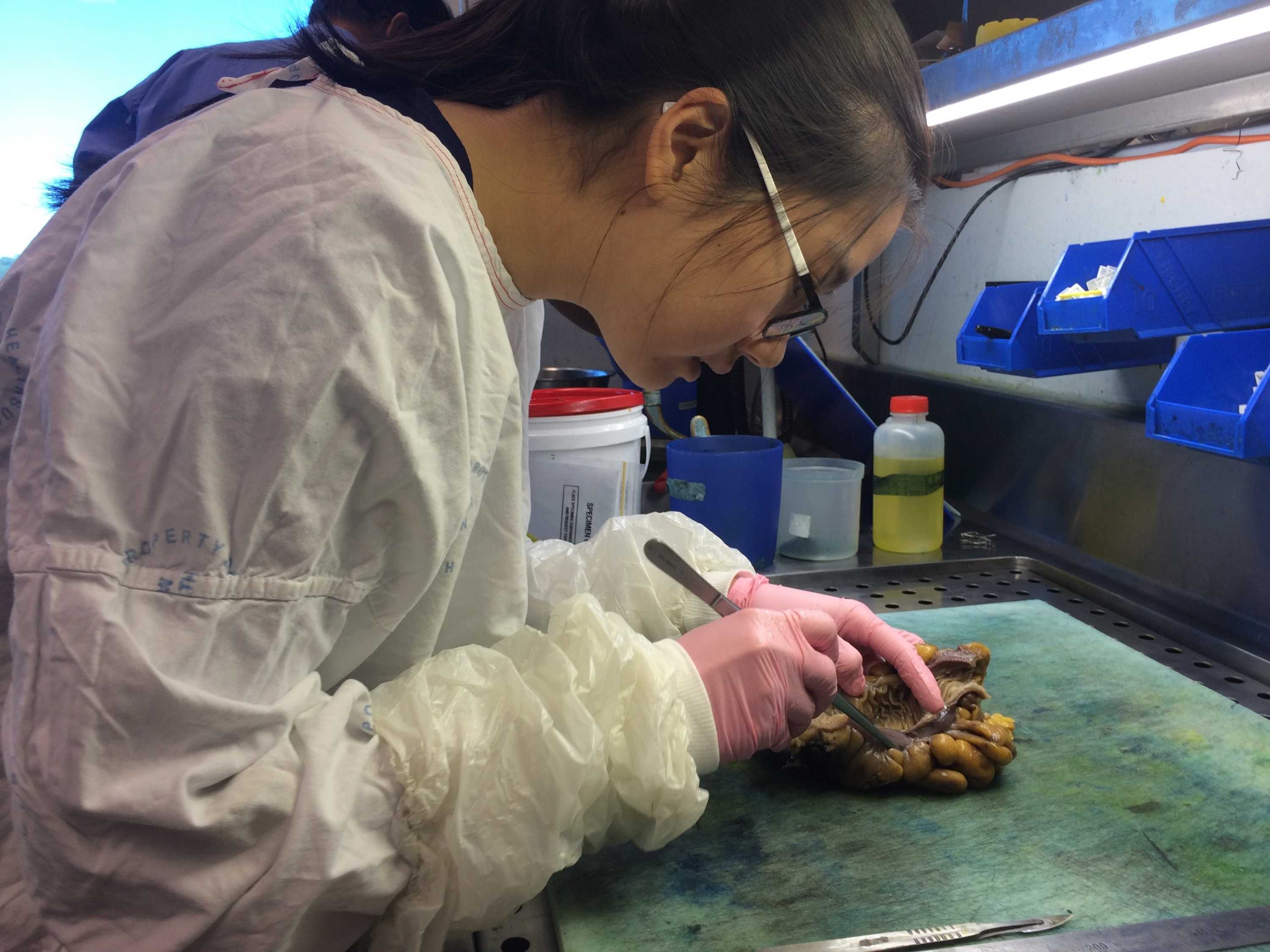 Medical detectives in Newcastle saving lives in complex pathology ...