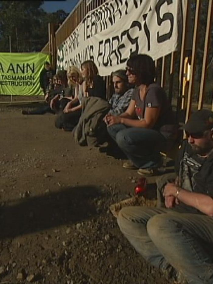 Tas Opposition reveals plan for tougher illegal forestry protest ...
