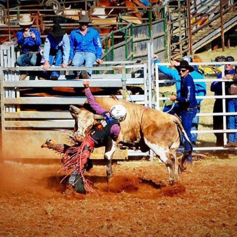 Budd Williamson (Bullrider) - ABC listen