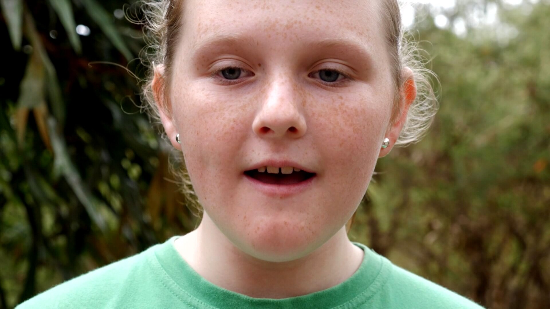 Bird Calling Competition - Behind The News