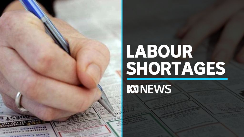 Businesses fly in staff to cope with worker shortages - ABC News