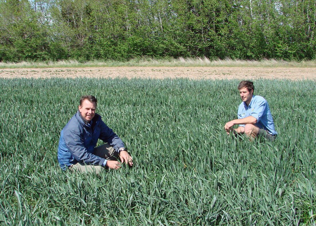 Driest October sees Tasmania's rural sector take a strategic risk ...