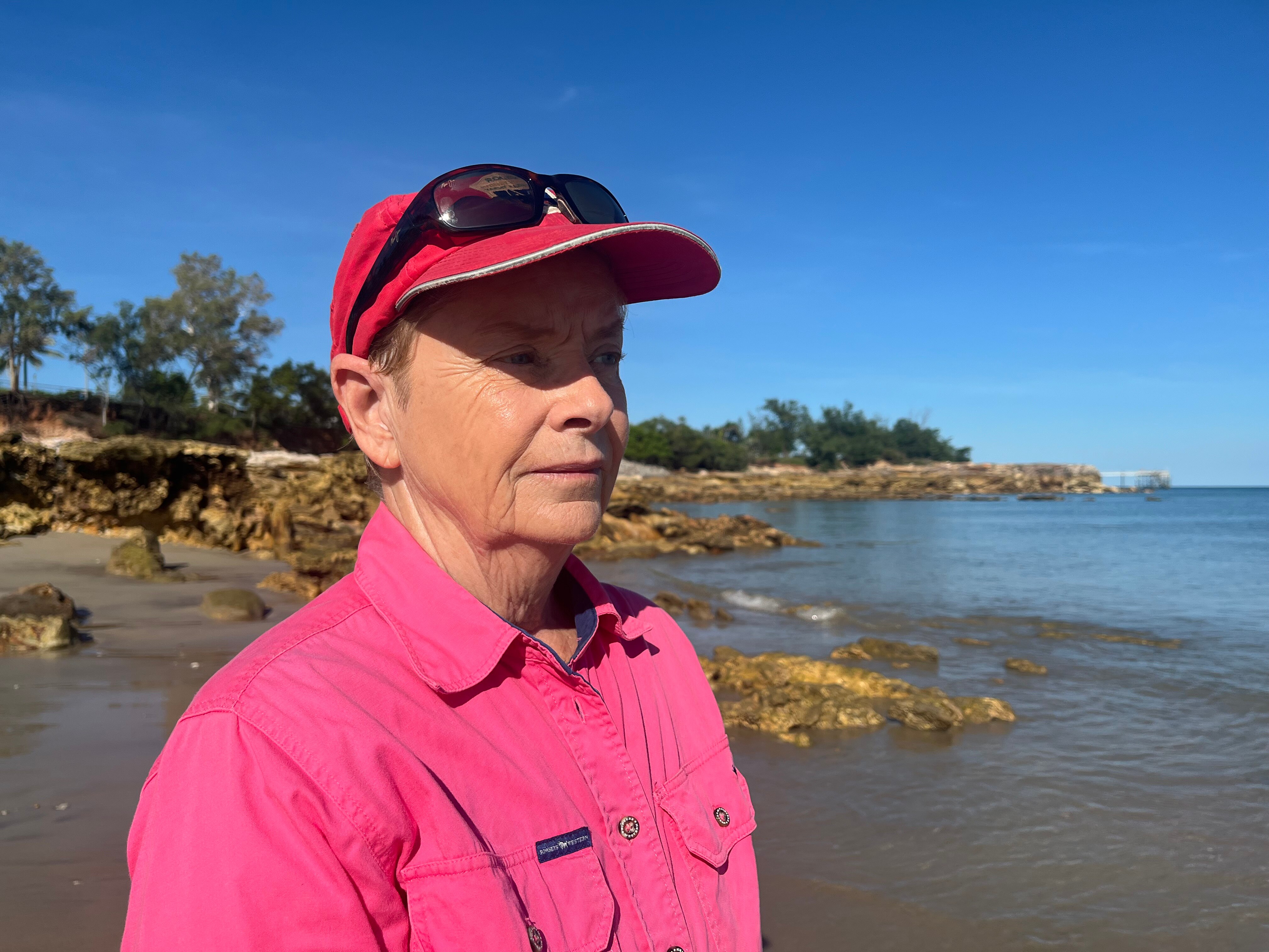 NT government tells Senate inquiry Middle Arm precinct may include ...