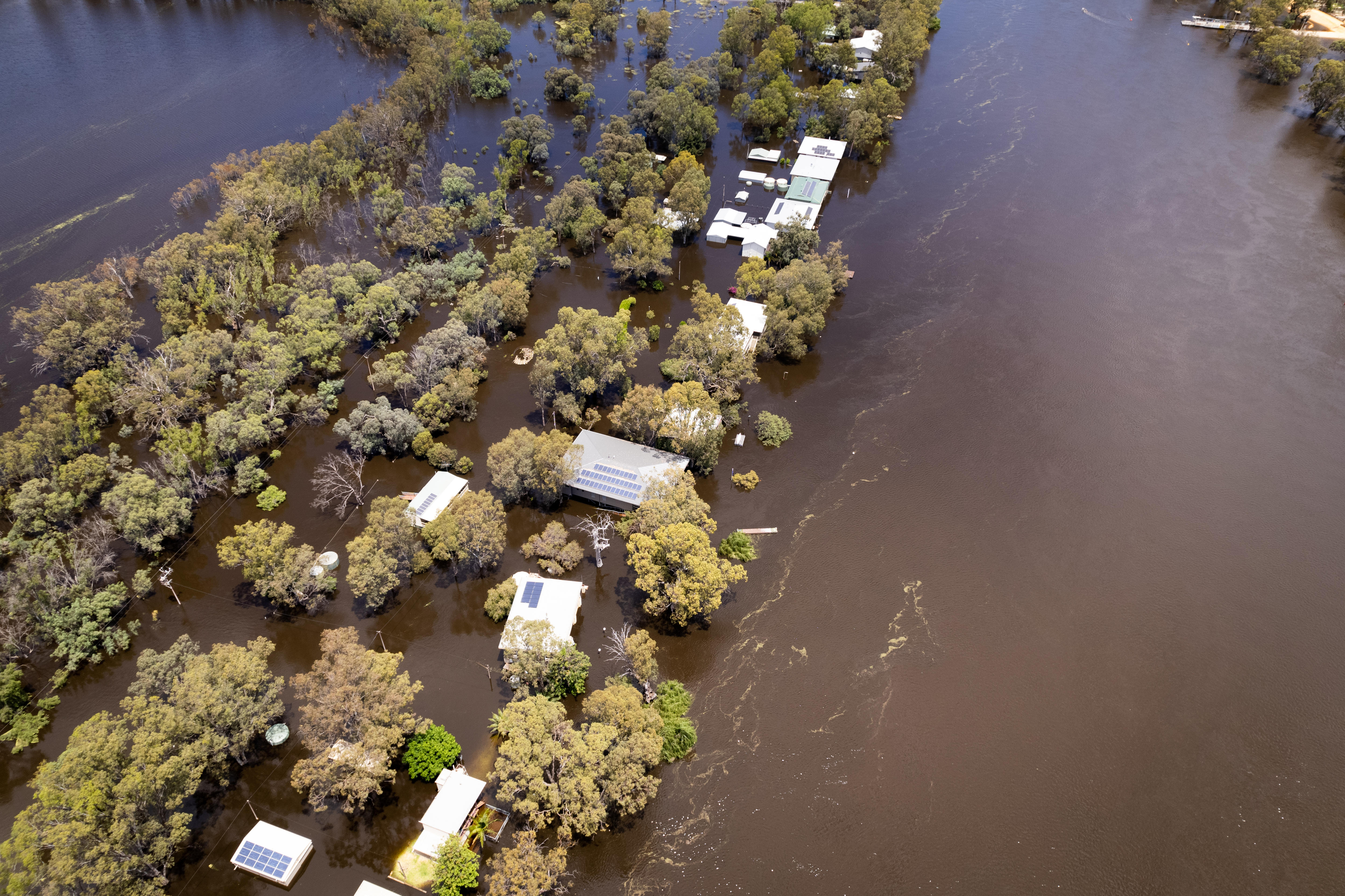 SA flood waters expected to peak at Morgan in early January as more ...
