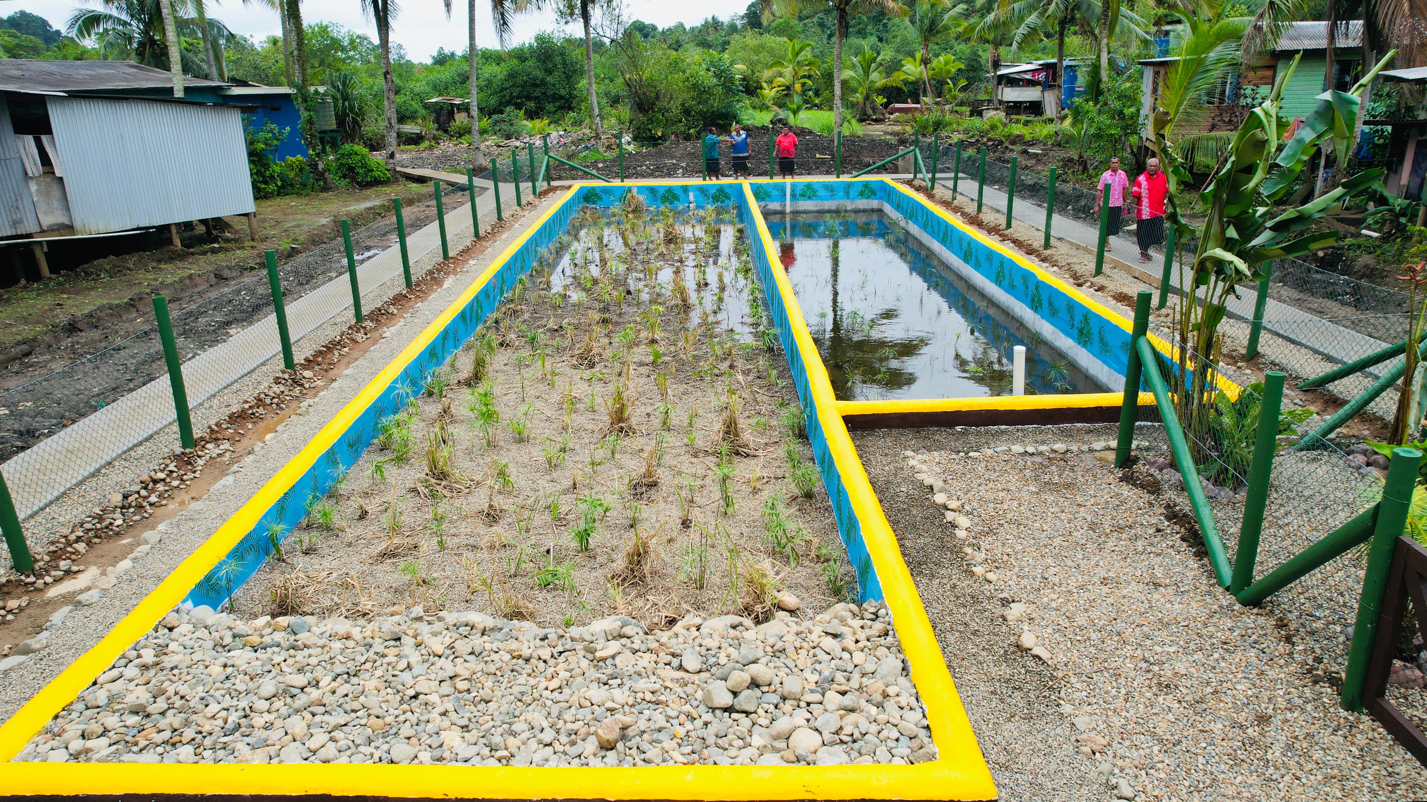 Fiji project uses grass and wetlands to clean wastewater and improve ...
