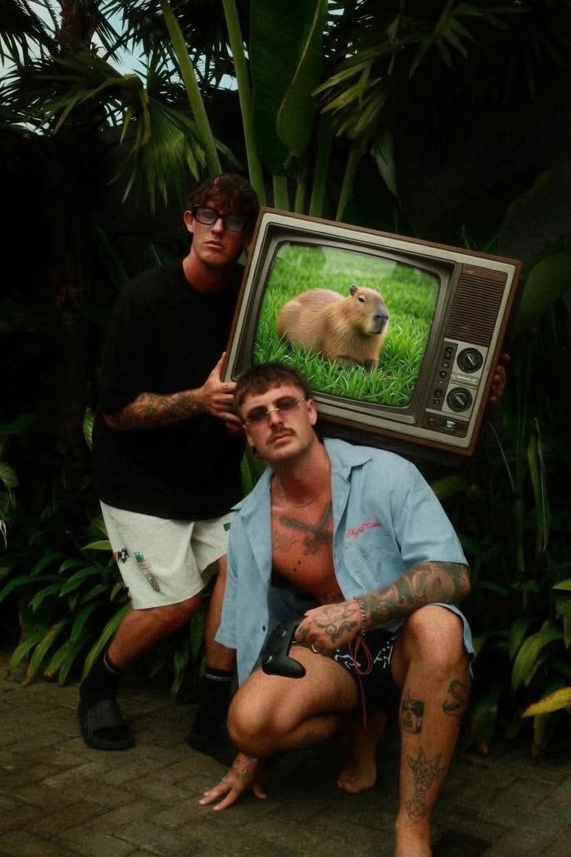Friday Mix: LUUDE B2B Harry Bee - triple j