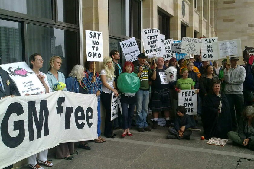GM protest outside Parliament - ABC News
