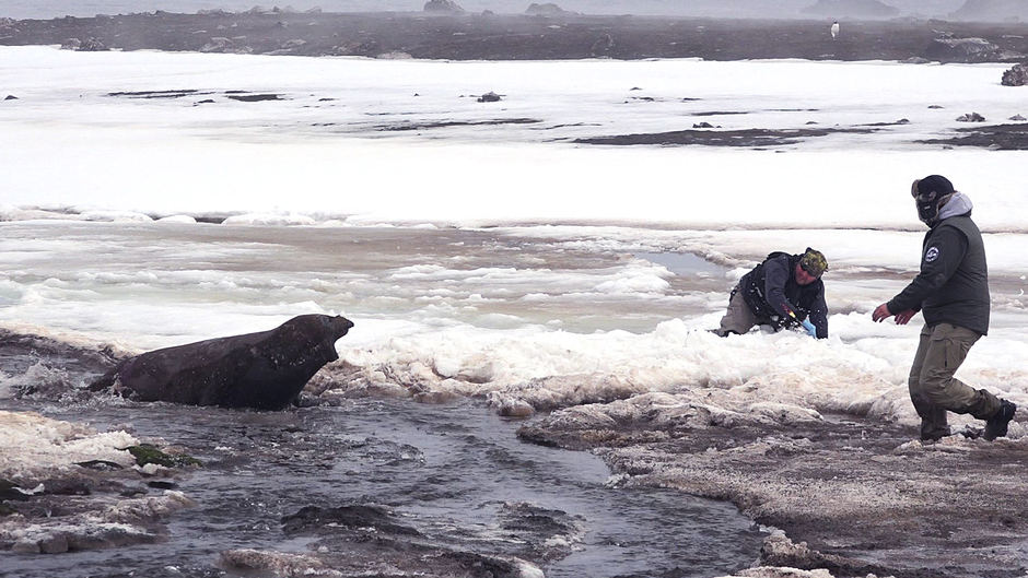 Southern Exposure - ABC News
