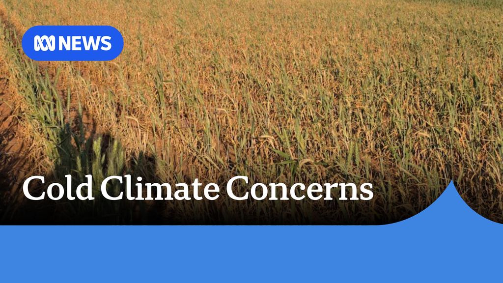 ABC Rural - ABC News