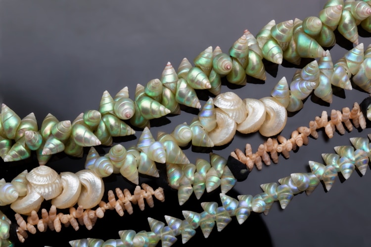 Shimmer: the shellwork tradition - ABC listen