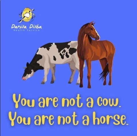 Jack Hislop - ABC News