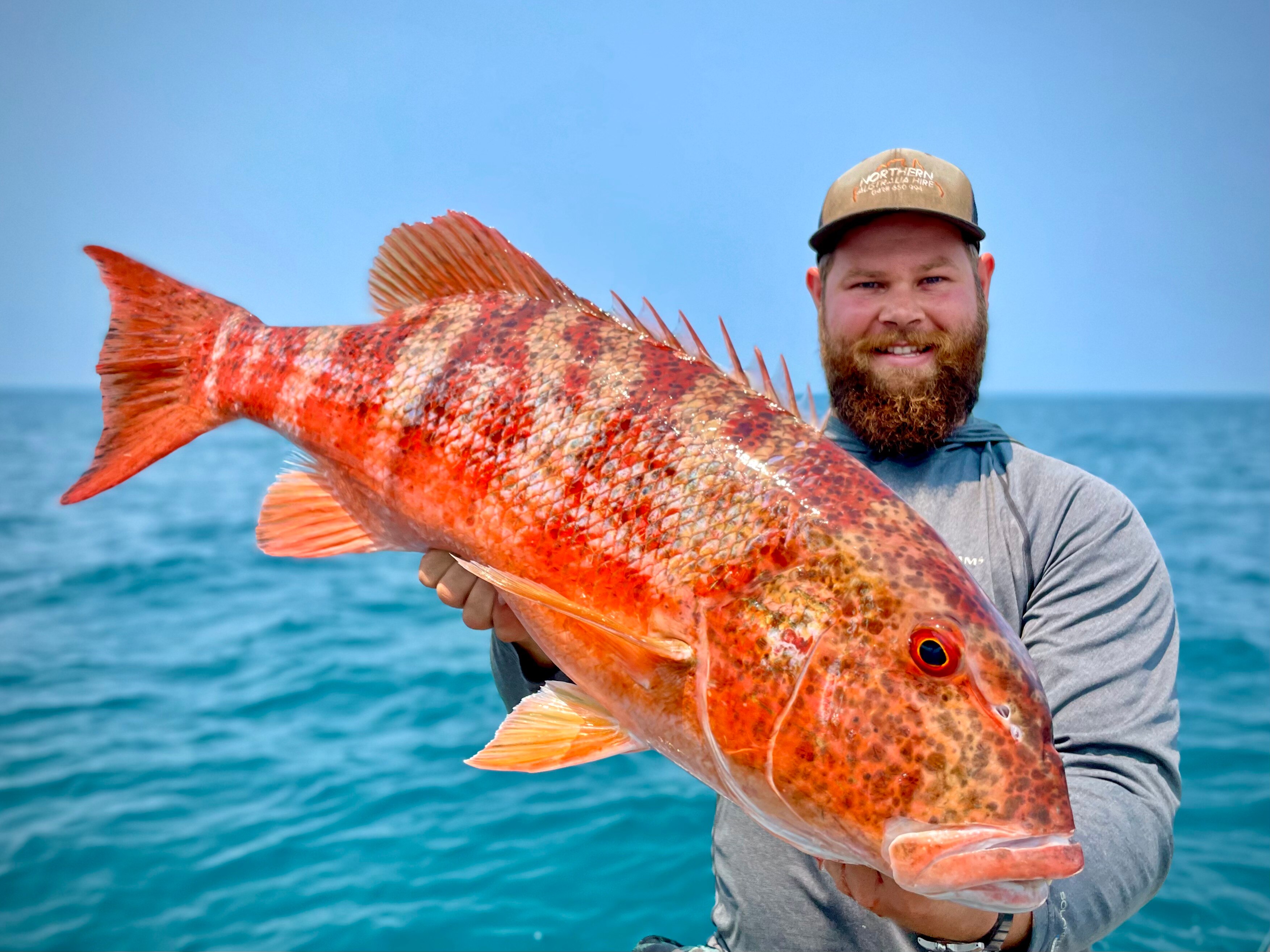 Tinny Podcast #790: Reducing shark depredation. The metery that almost ...