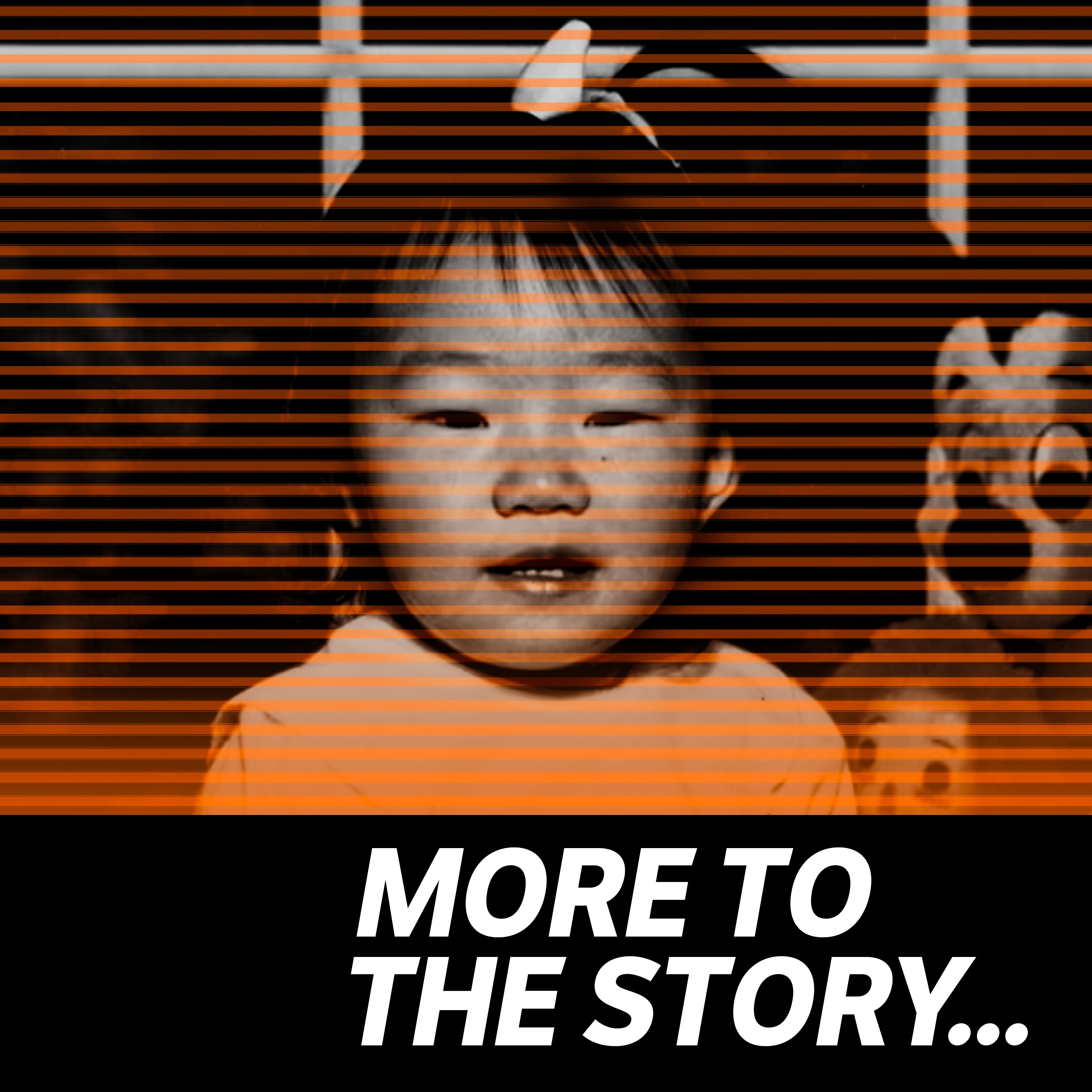 Latest Episodes | Background Briefing - ABC listen