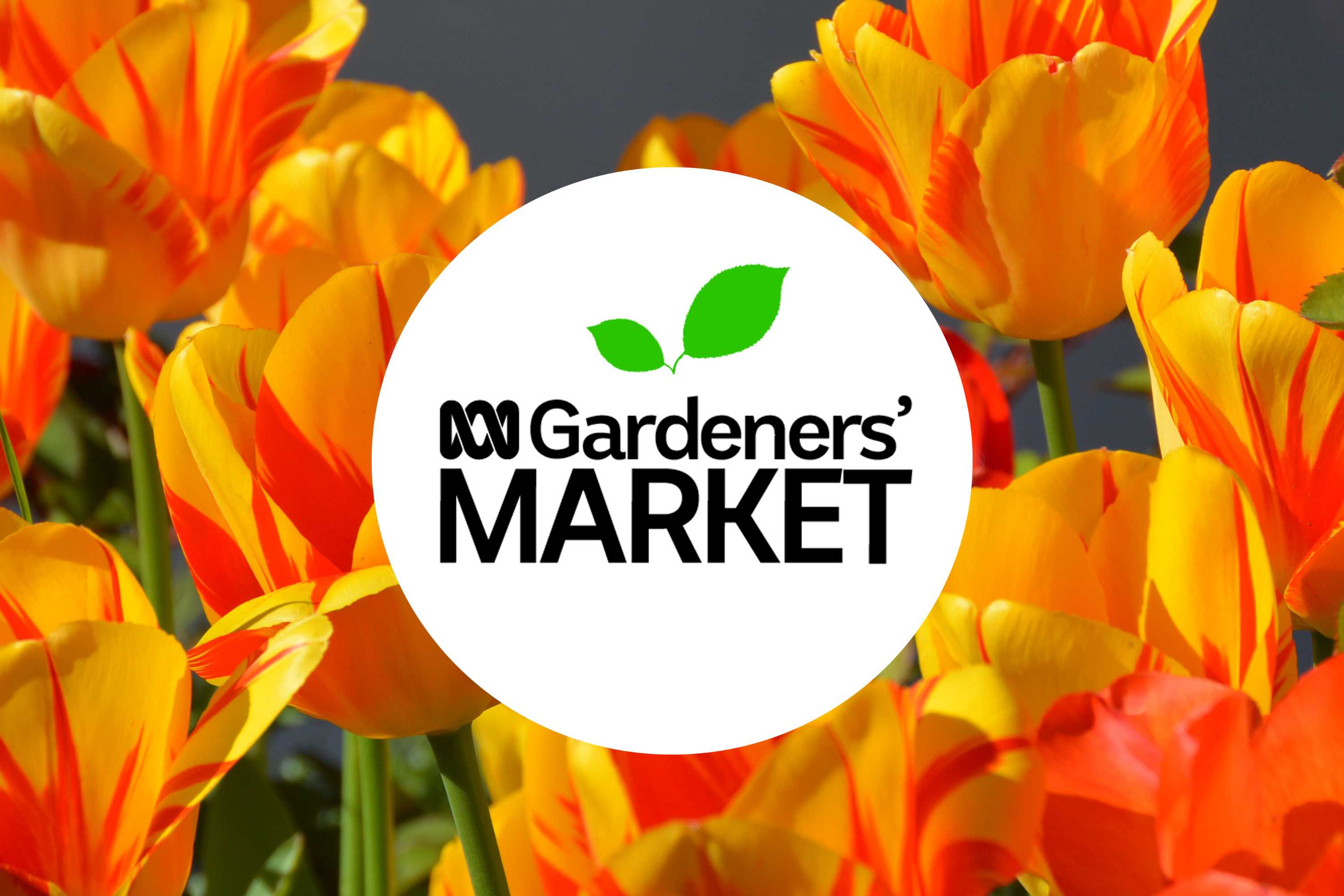 ABC Gardeners' Market Saturday 12 October - ABC Adelaide