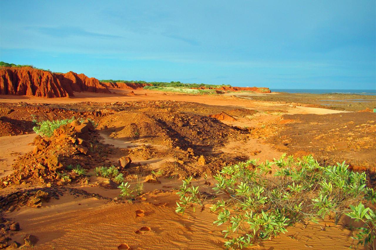 Changing landscape of Aboriginal and green politics - ABC News