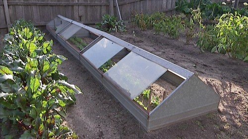Mini Microclimate - Gardening Australia