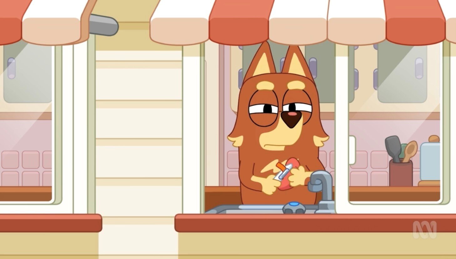 Bluey's cricket episode perfectly encapsulates the meaning of the game ...