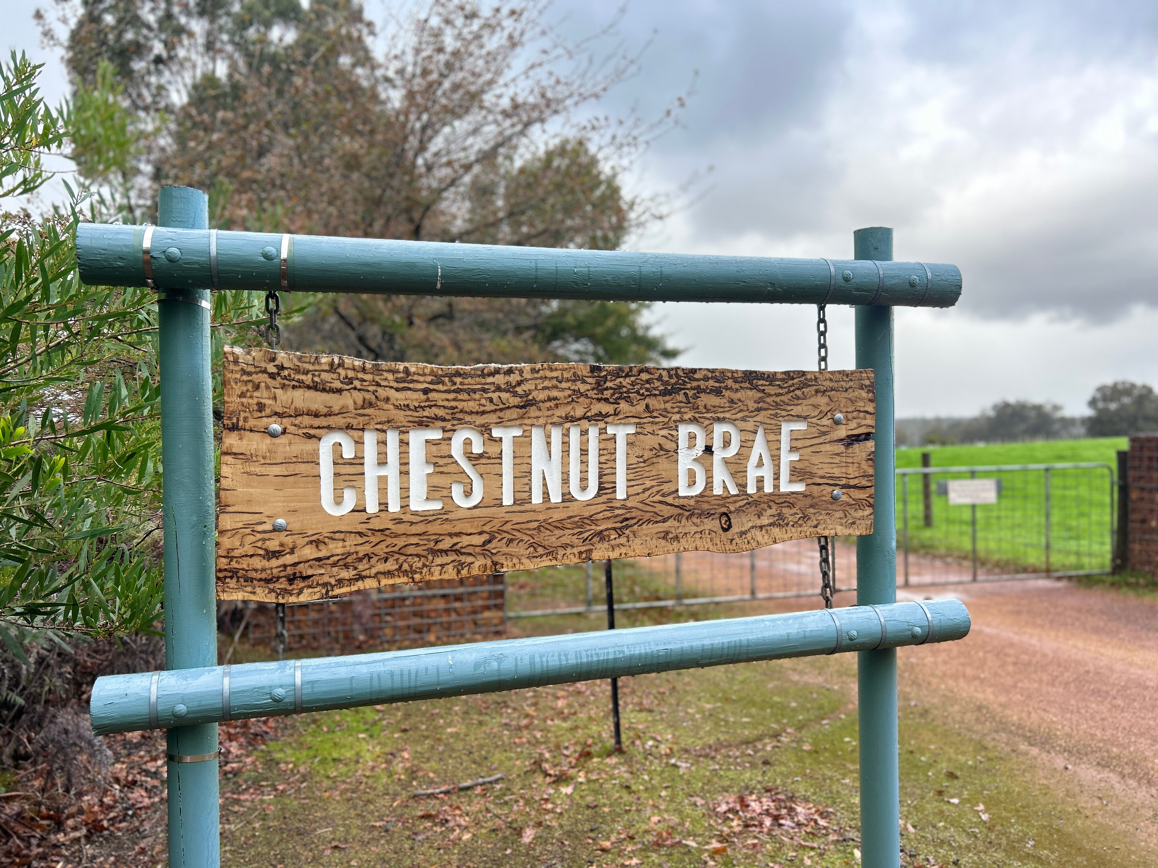 Chestnut growers still optimistic despite major WA harvest production ...