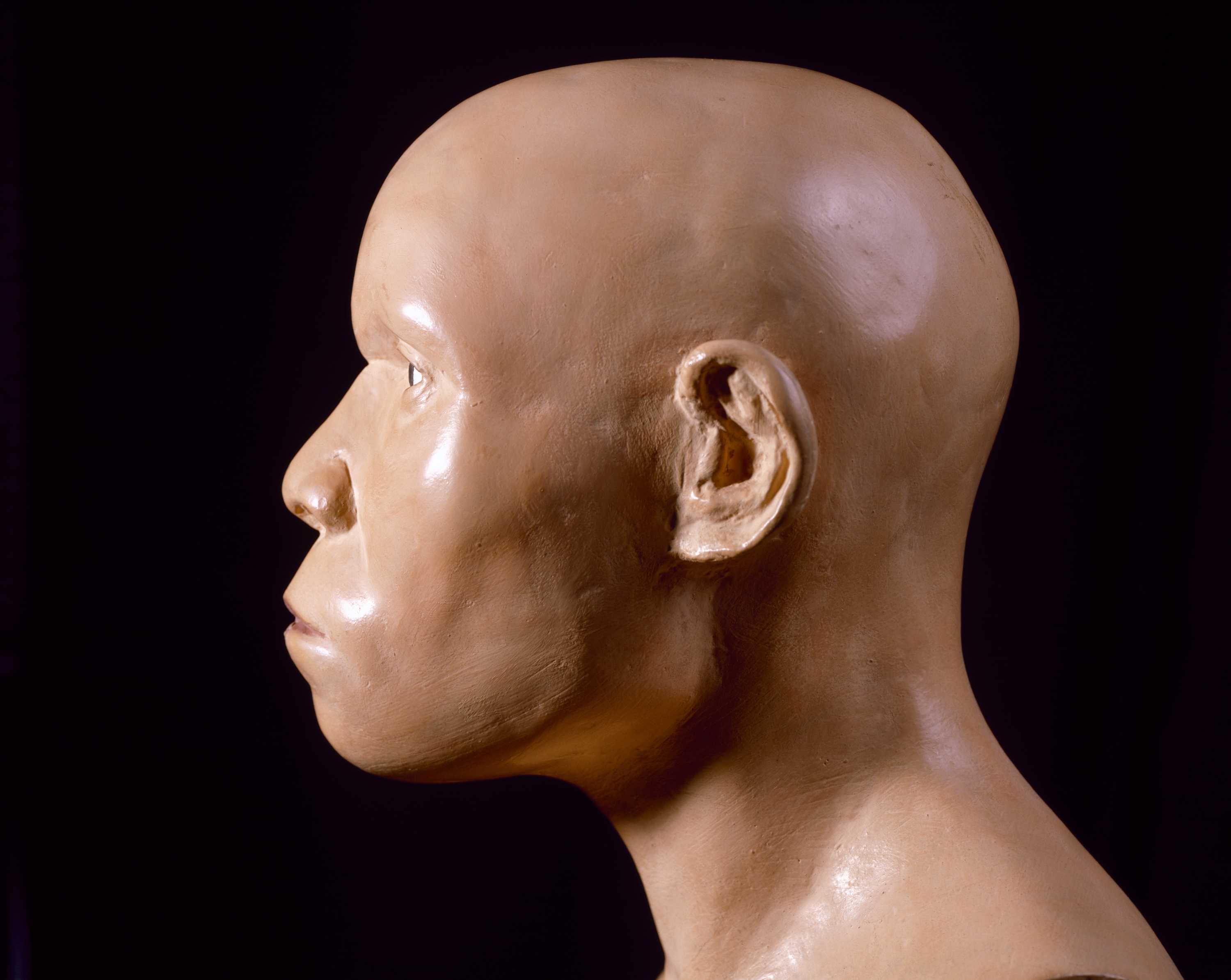 Piltdown Man: the hoax that fooled England's scientific establishment ...