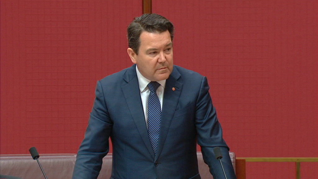 SSM: Australia returns resounding Yes vote but debate over details has ...