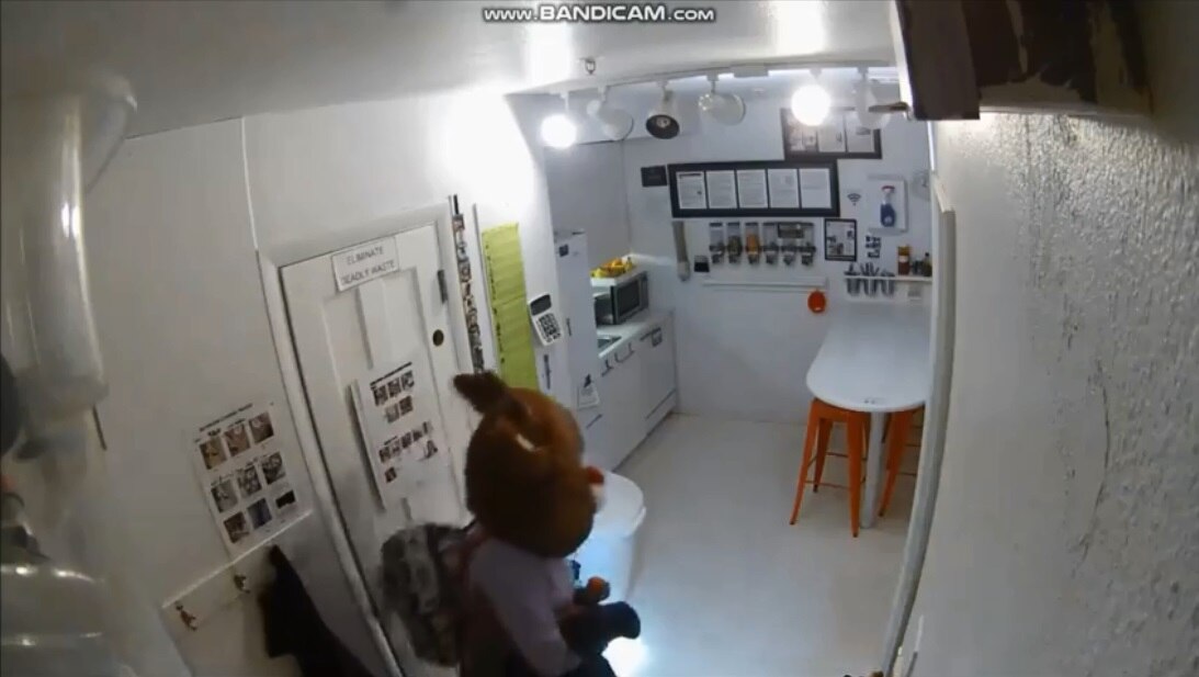 Burglar uses Rudolph costume as disguise to break in to Colorado ...