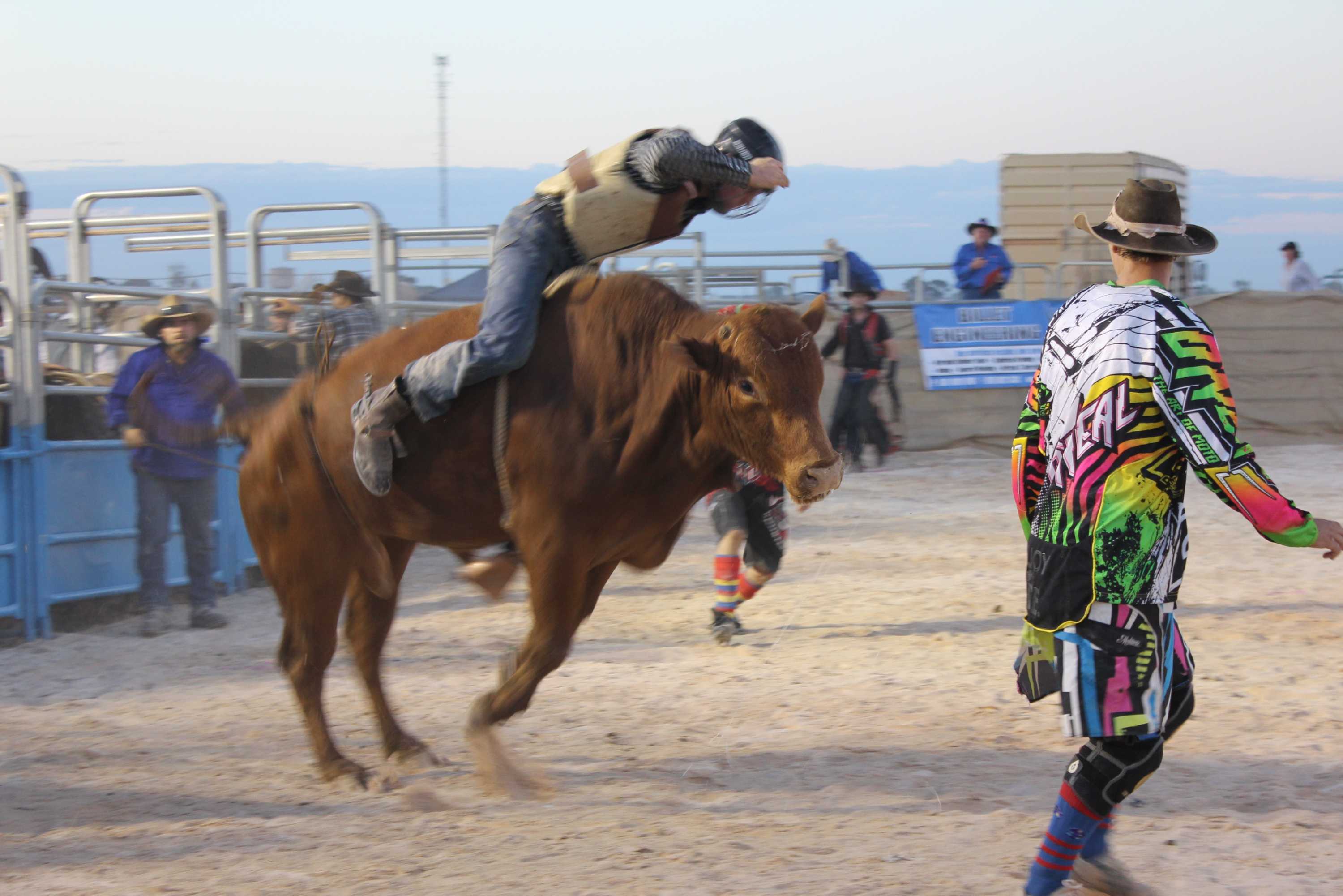 Catching up with the neighbours outback style - ABC News