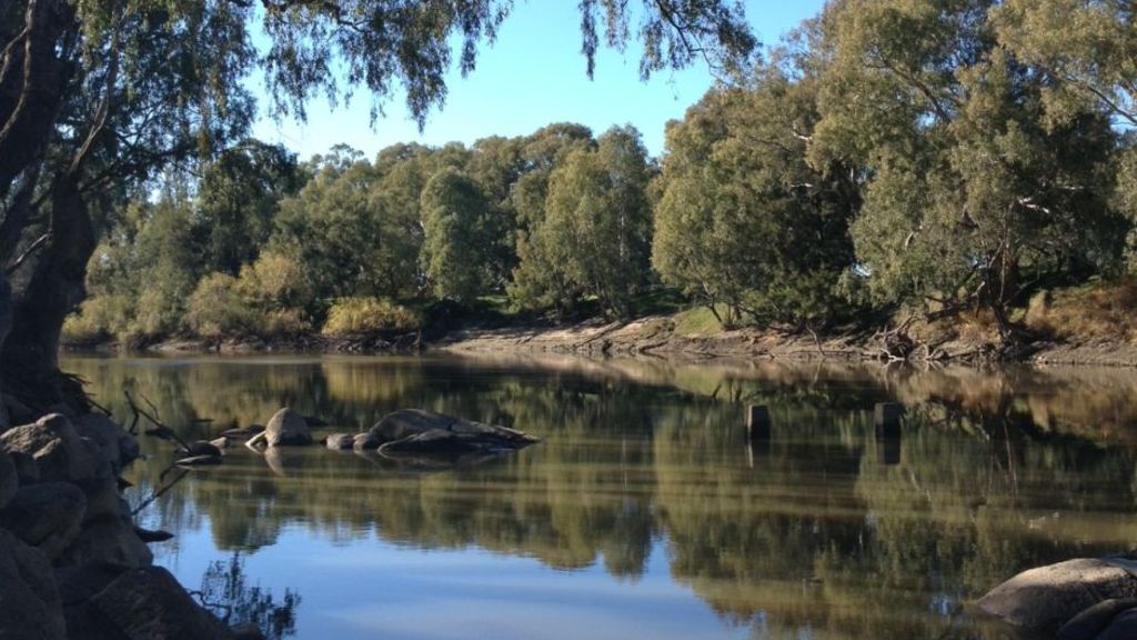 Log Jamming - ABC News