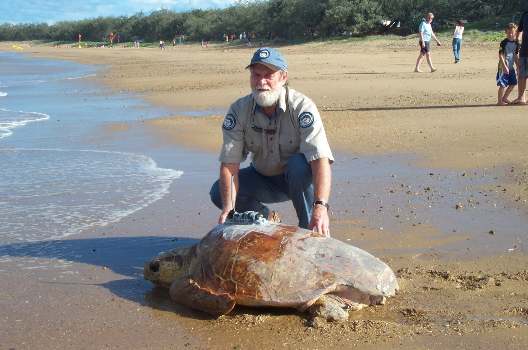 Turtle conservation researcher Col Limpus from Mon Repos rookery ...