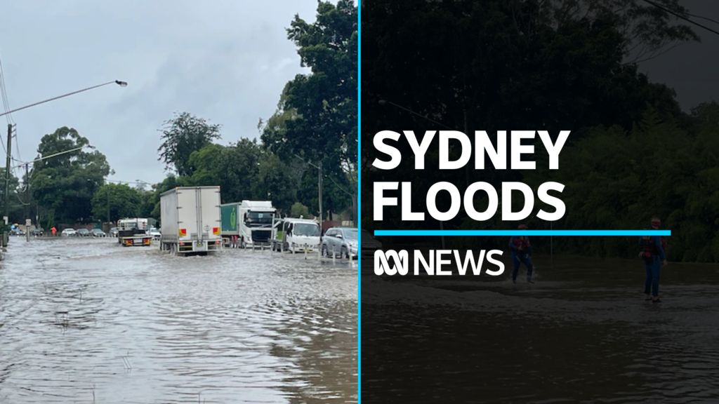 Menangle - 2568 - Location - ABC News