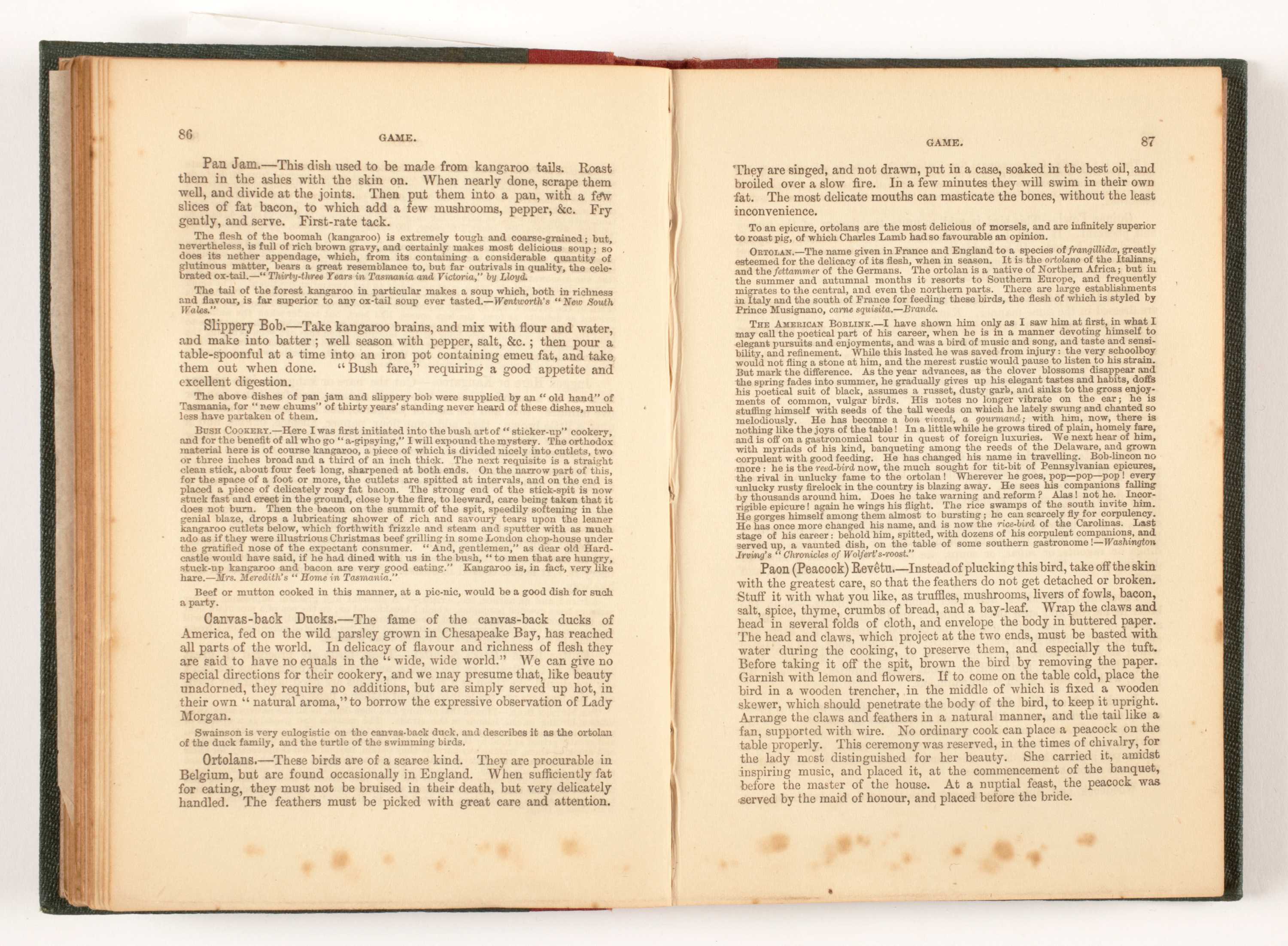 The first Australian cookbook by an Aristologist - ABC Radio National