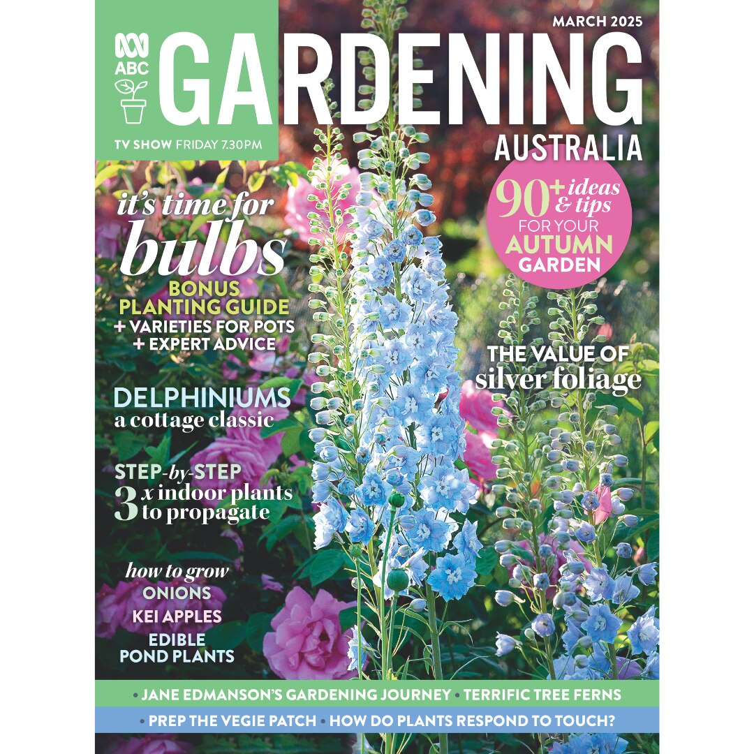 Magazines - ABC Shop