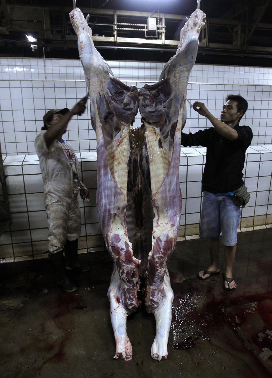 Cruelty prompts cattle shipments suspension - ABC News