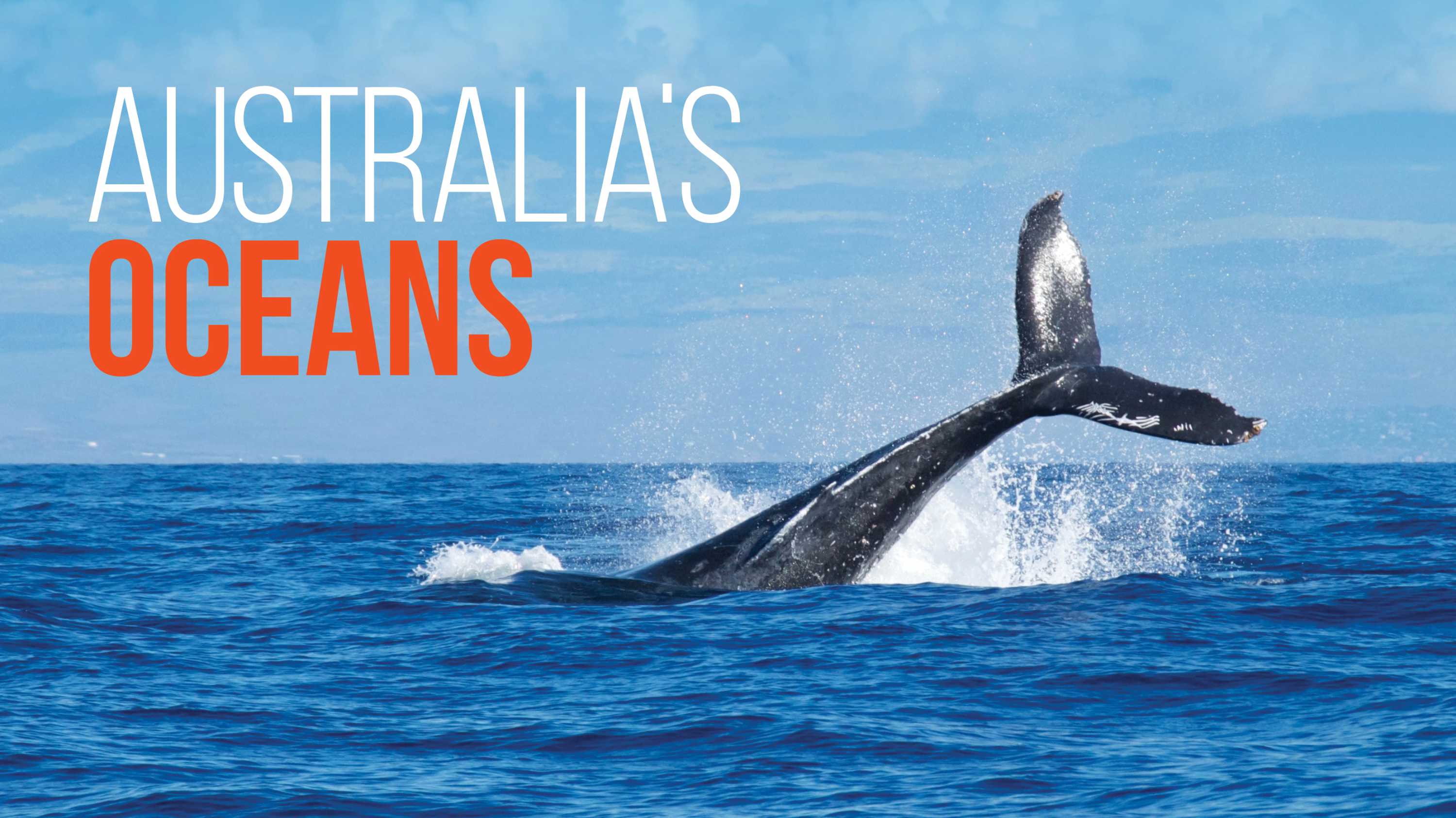 Australia's Oceans - ABC Content Sales