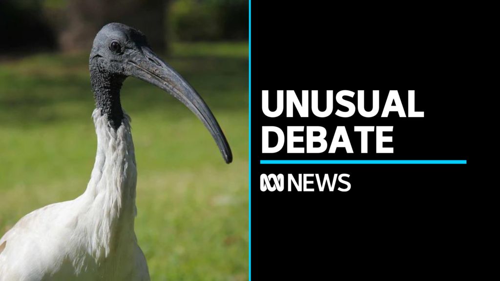 Queensland - ABC News