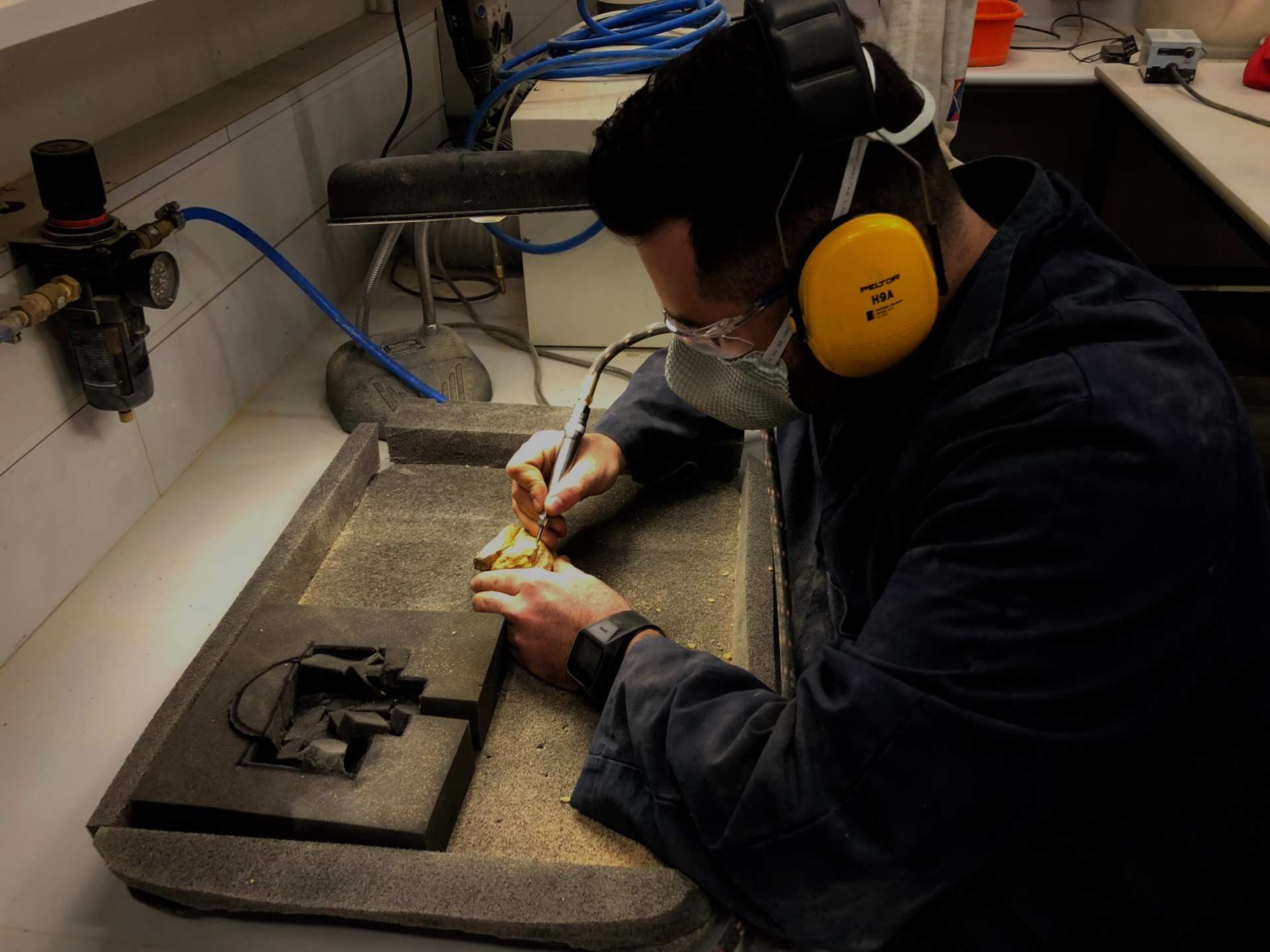 Extracting fossils from their rocky tombs - ABC listen