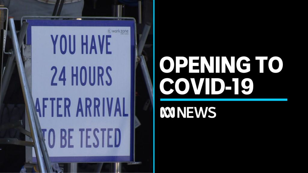 Borders opening and 'inviting in' Covid-19 - ABC News