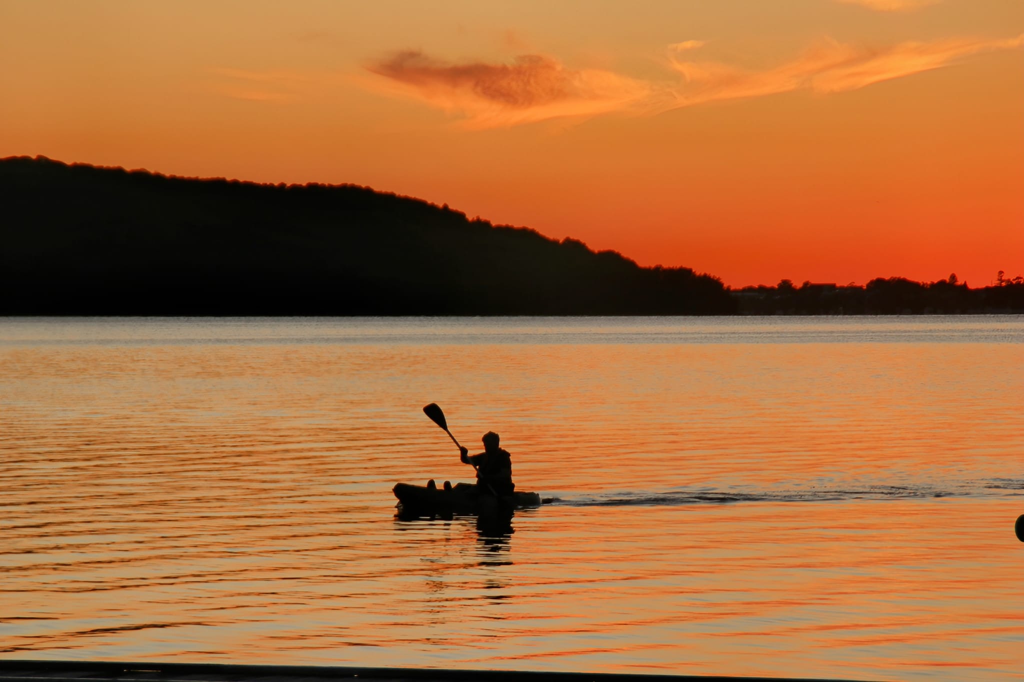 Yess! AhHa! Now! mangoes finally in supermarkets after decades of ...
