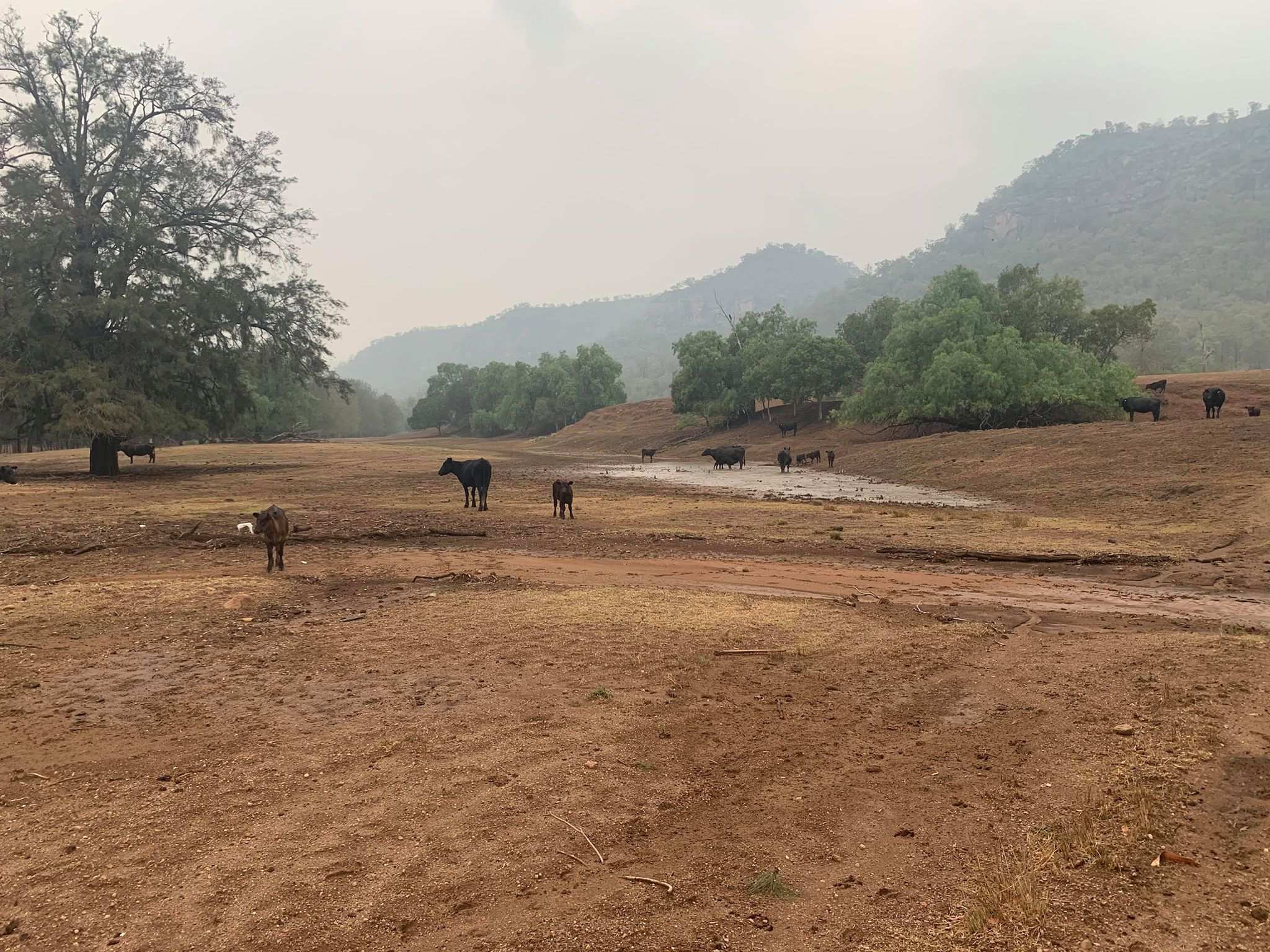 Rainfall in parched Hunter Valley 'best in years', sees dry Moonan ...