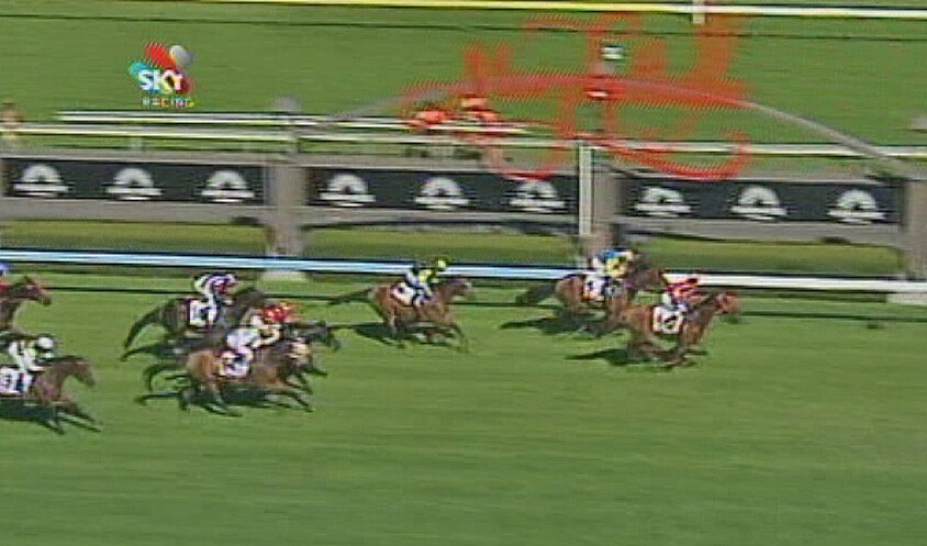 Heat, horses and hats the Adelaide Cup highlights - ABC News