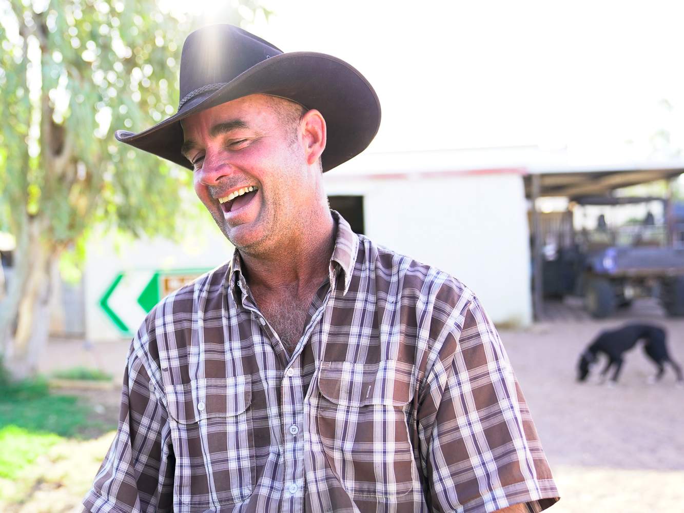 Meet the Winton dogs that stole their scene in ABC drama series Total ...