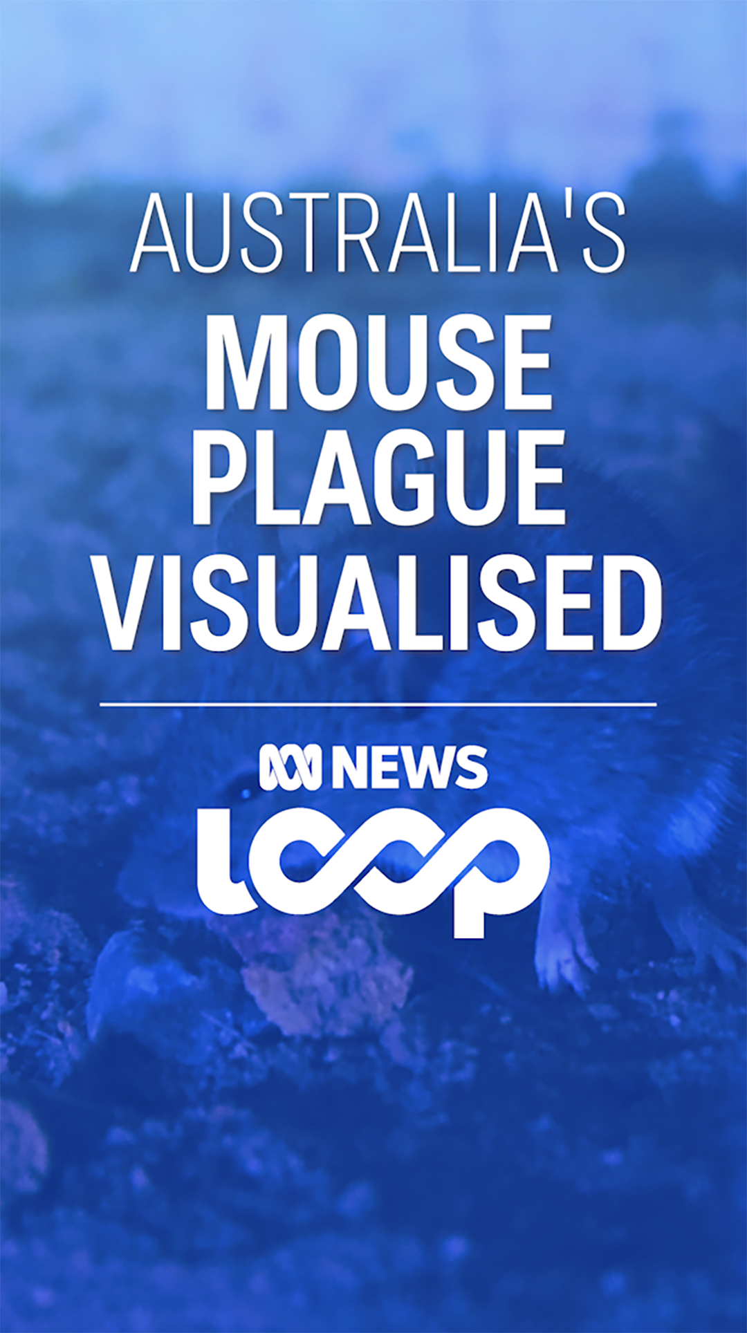 News Channel - ABC News