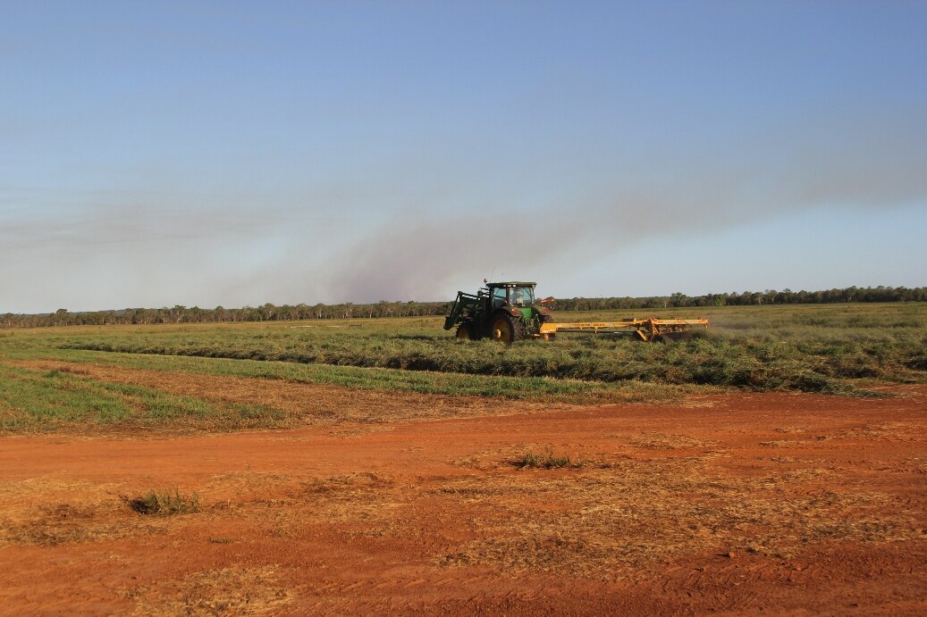 Poor wet season may affect yields in the Northern Territory's biggest ...