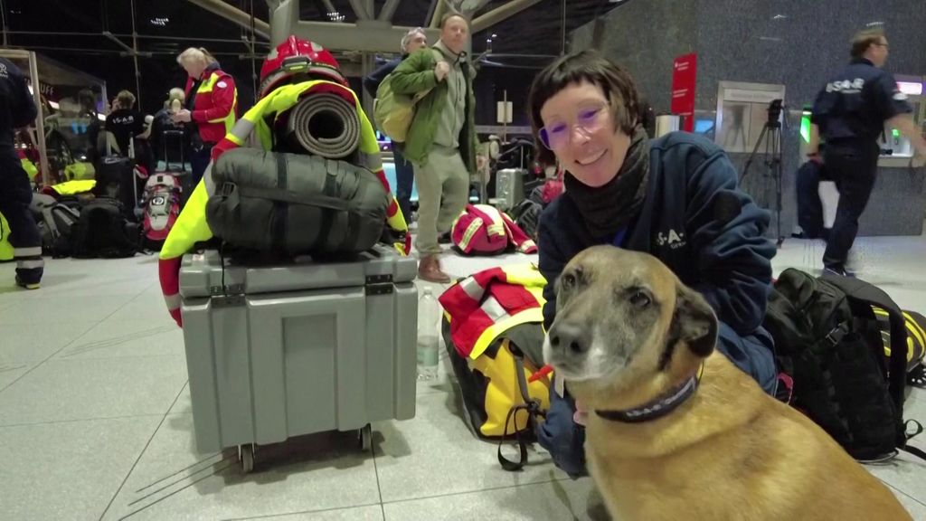 Search and rescue dogs travel to Türkiye to look for quake survivors ...