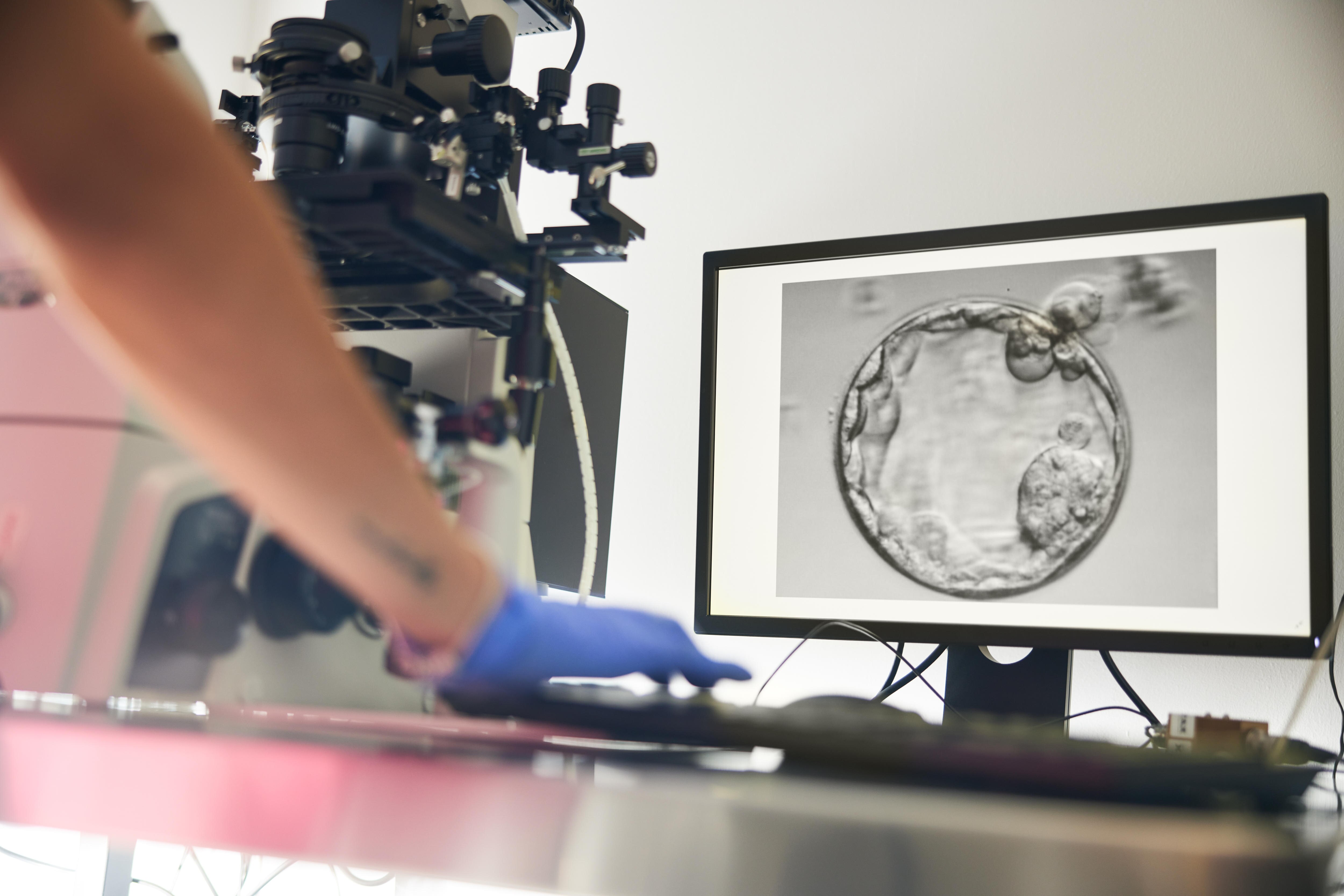 Will the IVF review fix the issues facing the sector? - ABC listen