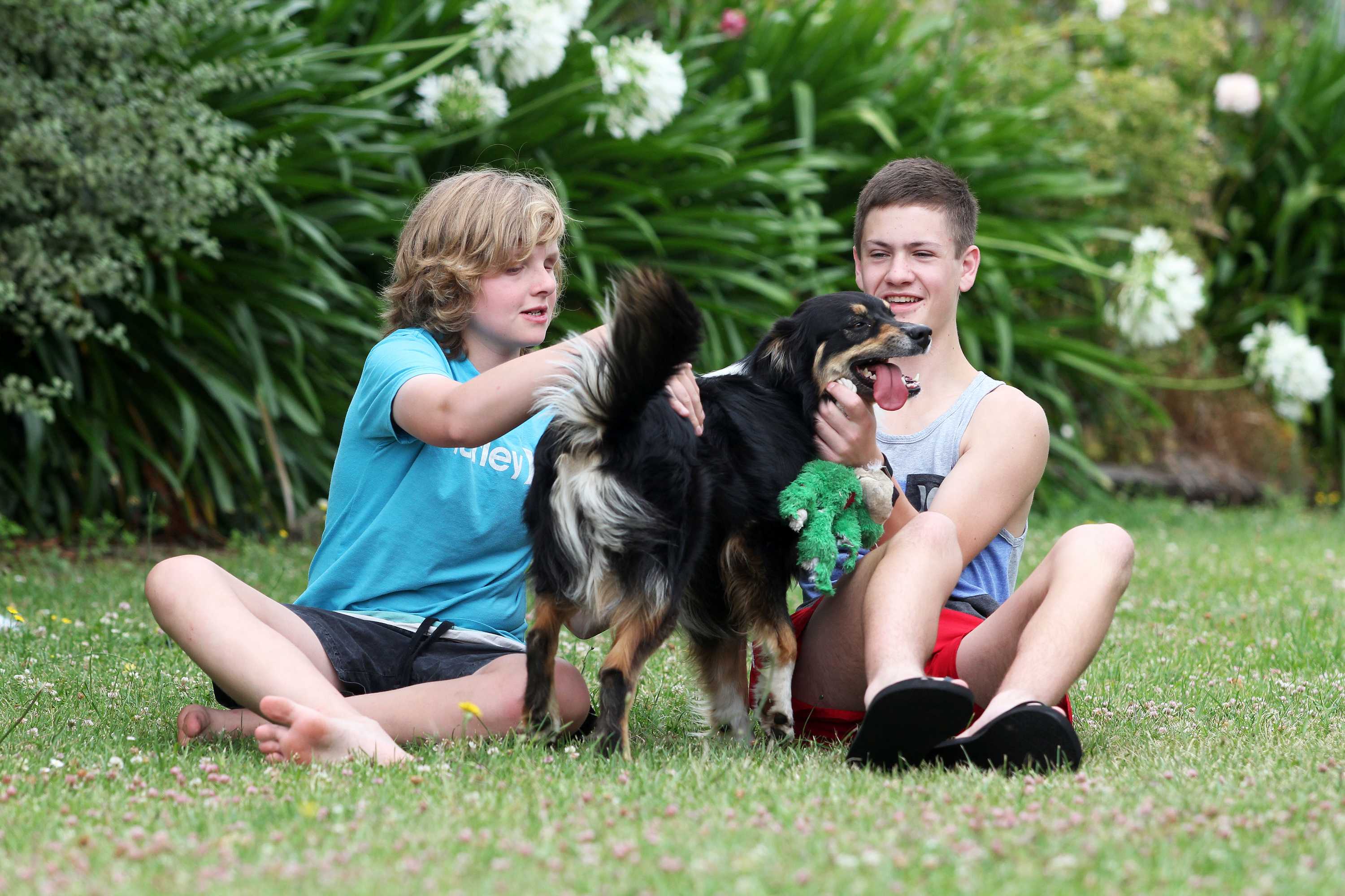 Josh and Toby: Mateship rewards Mount Gambier teenager - ABC News
