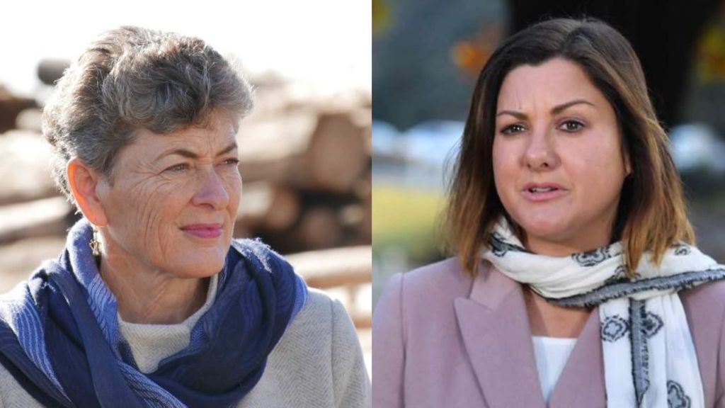Candidates make final pitches as Eden-Monaro polls open - ABC News