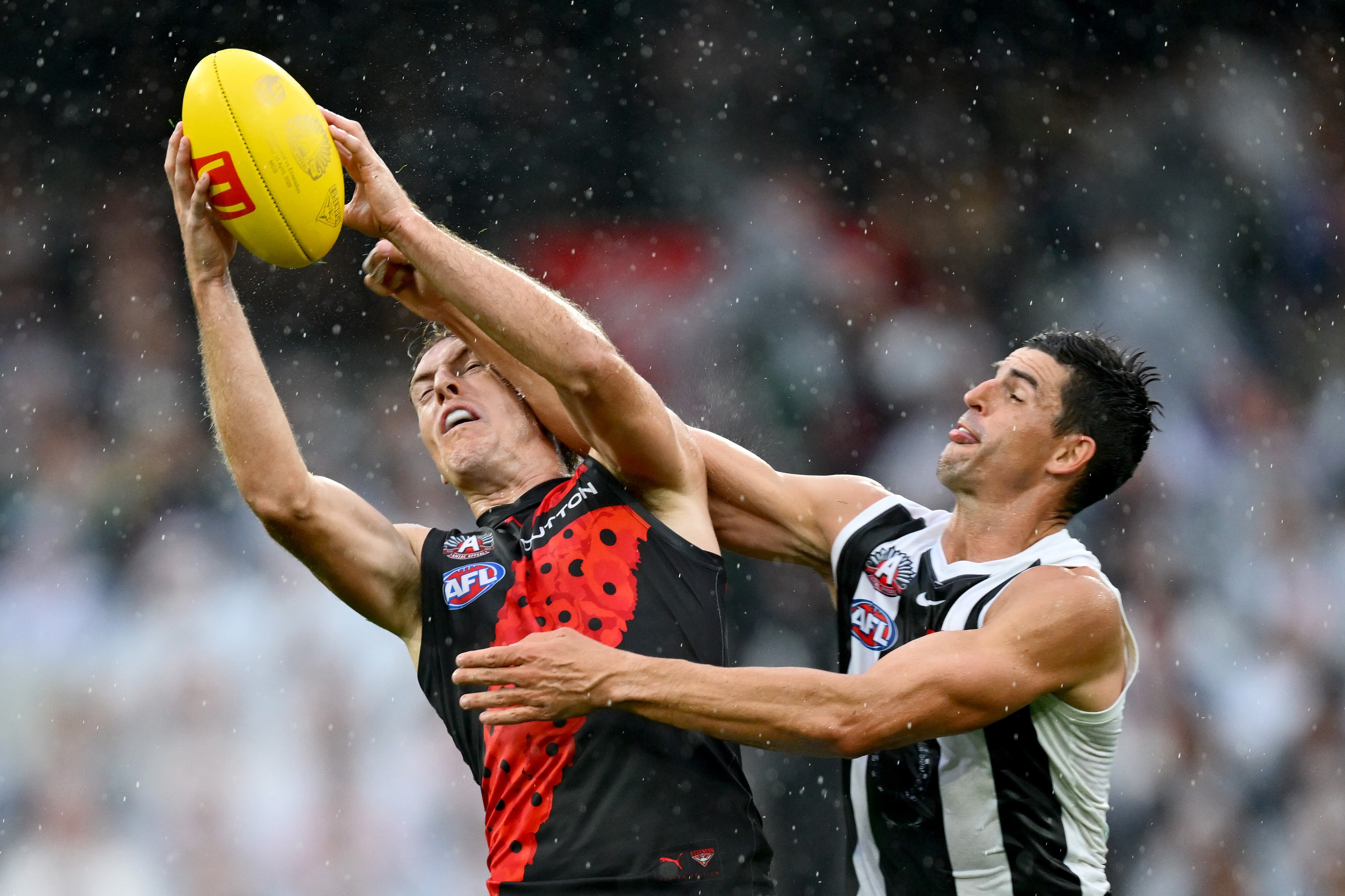 Port Adelaide star Dan Houston handed five-match ban at AFL Tribunal ...