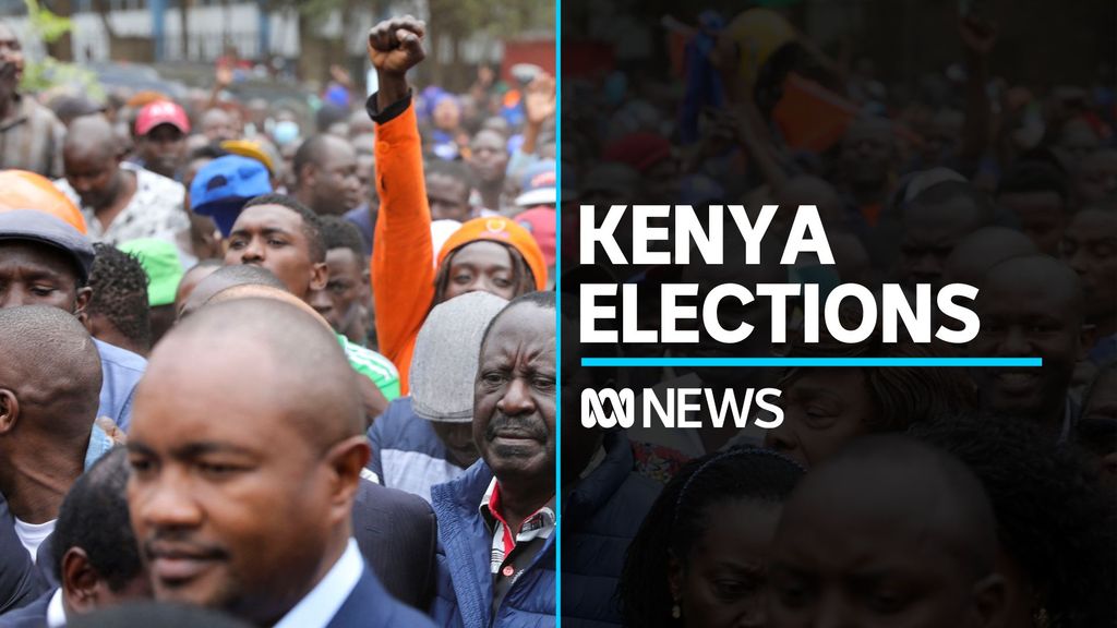 Elections - Topic - ABC News