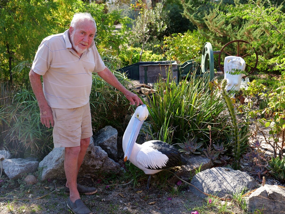 Nonagenarian cameleer and artist Sandy Chambers makes his own coffin ...
